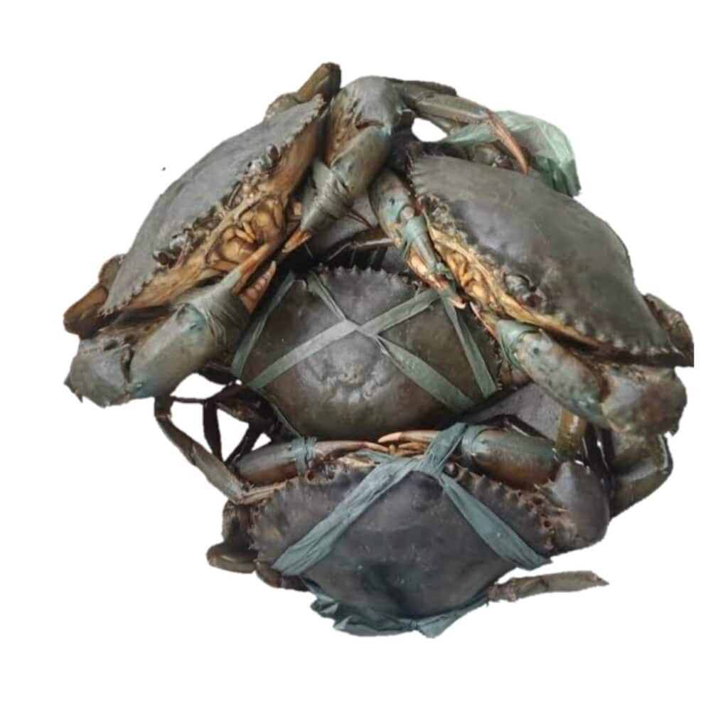 Seafoods - Market Fresh PH